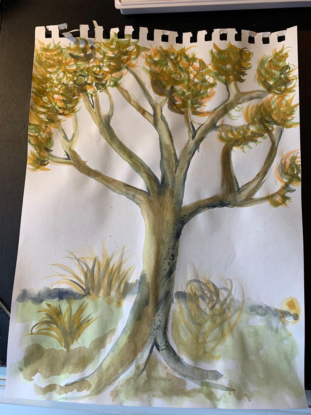 Fun with Trees! | Skillshare Student Project