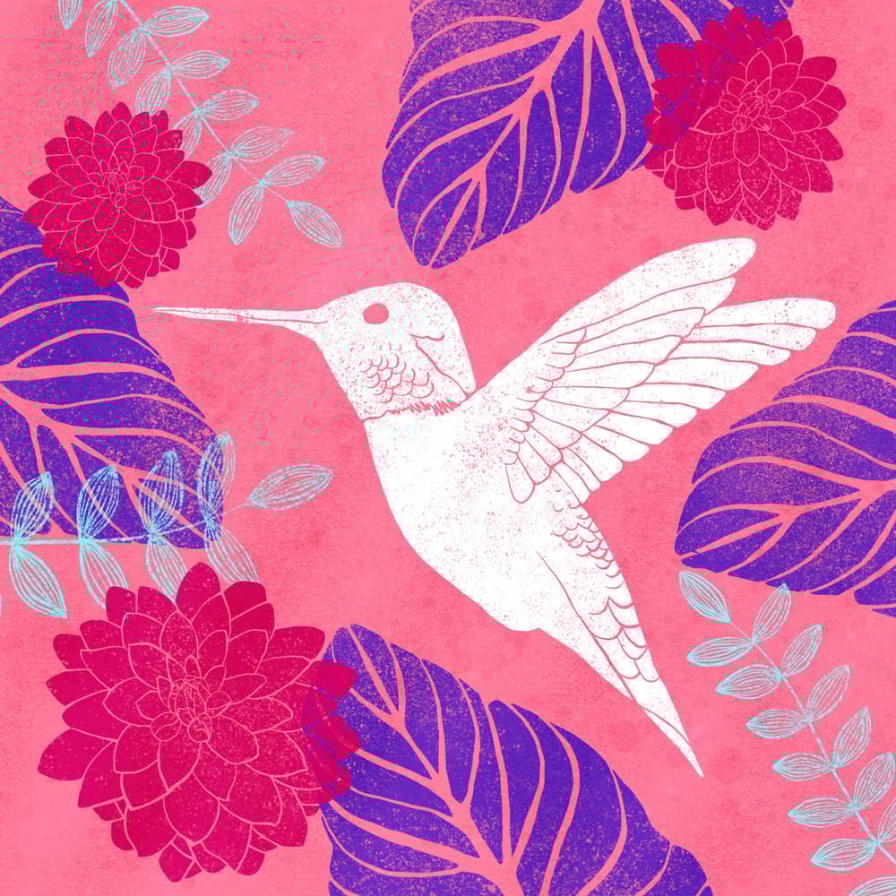 Hummingbird | Skillshare Student Project
