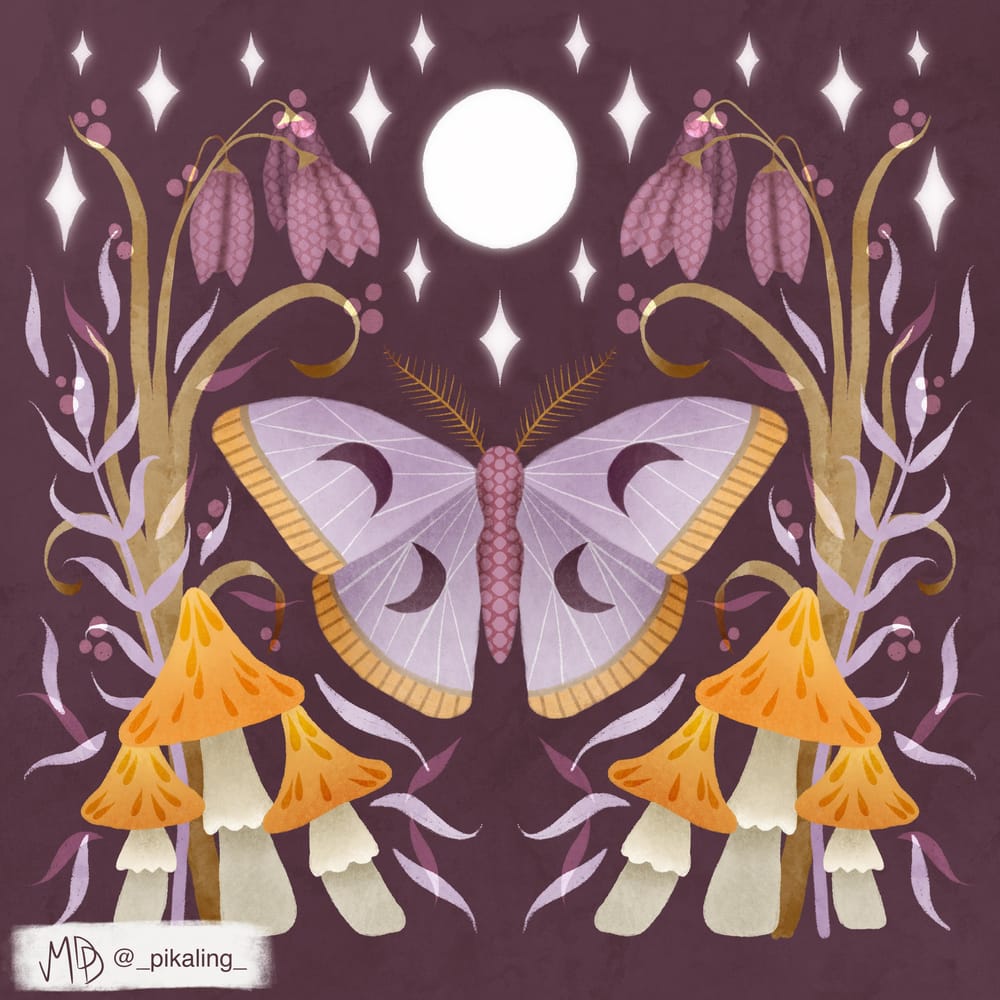 Magical Moth | Skillshare Student Project