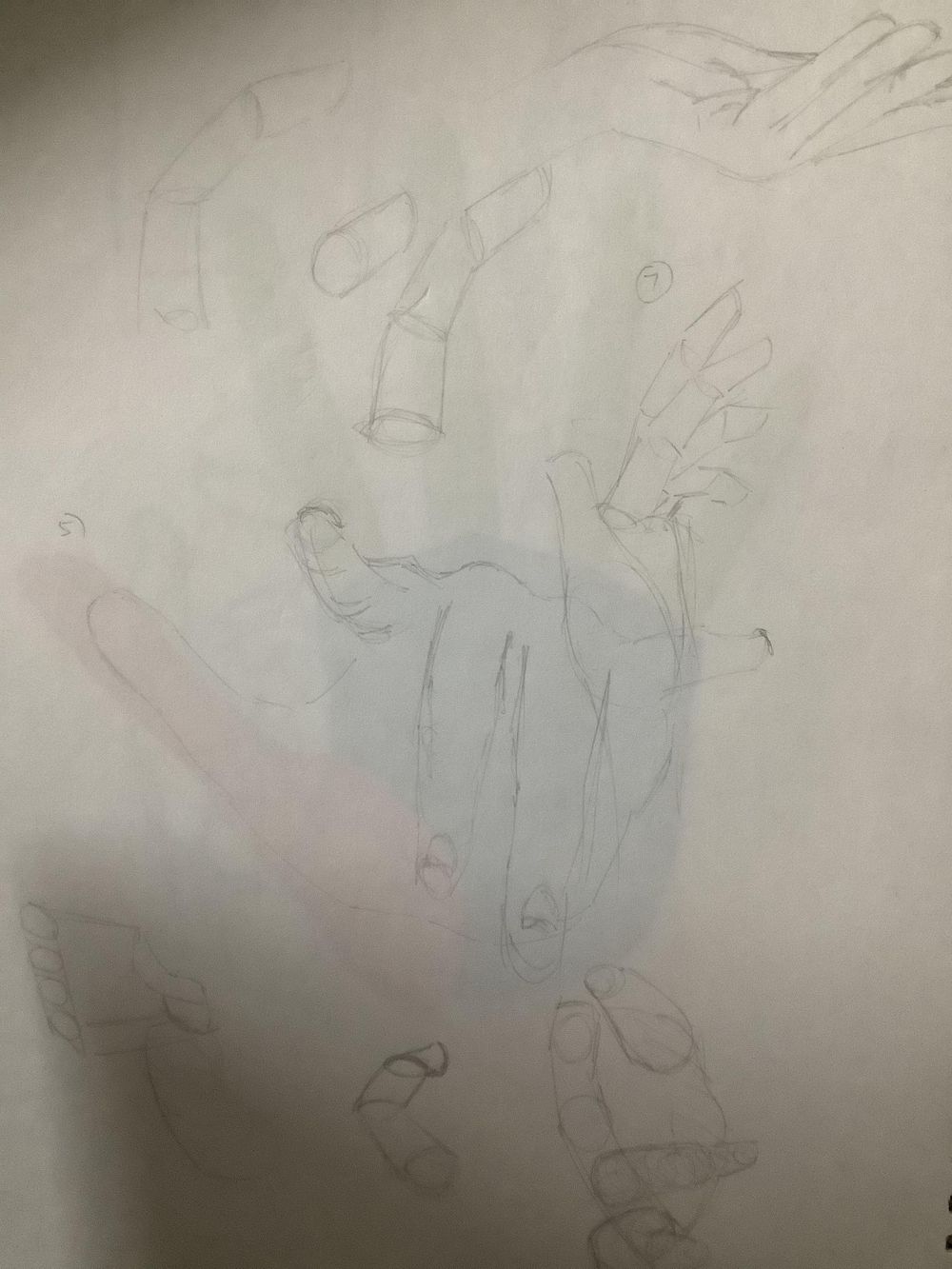 Final Work | Skillshare Student Project