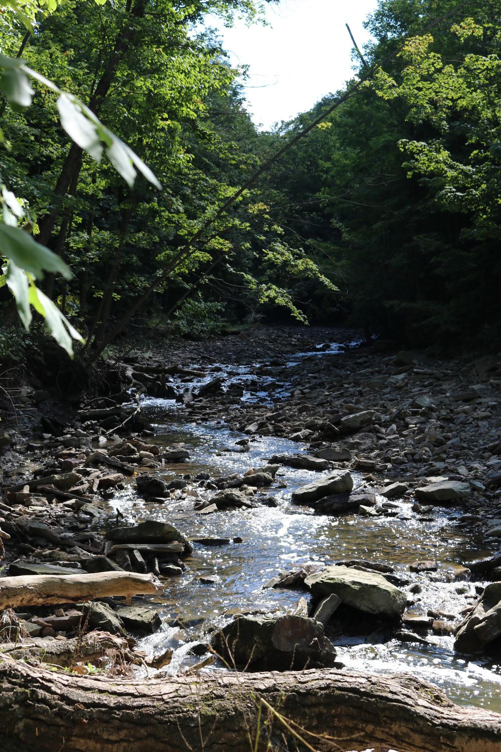 Graphic Design Projects | Skillshare Student Project