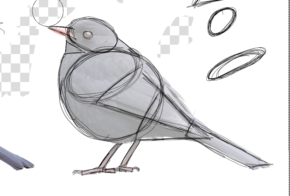 Shapes | Skillshare Student Project