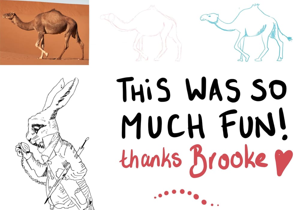 Toucan, rabbit & camel | Skillshare Student Project