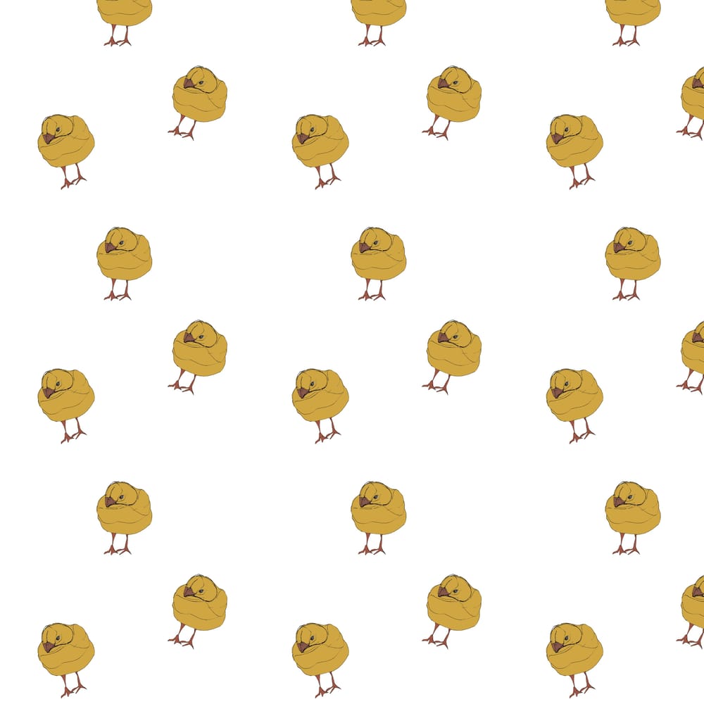 Pattern farm | Skillshare Student Project