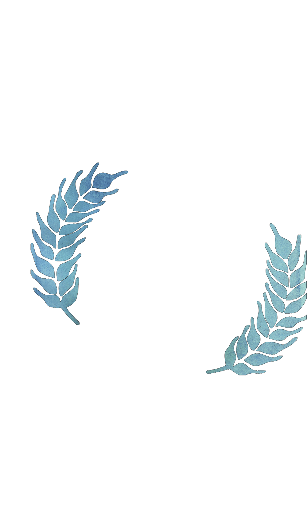 Sample project | Skillshare Student Project