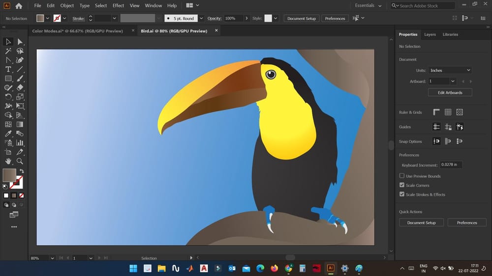 Drawing a bird- illustrator | Skillshare Student Project