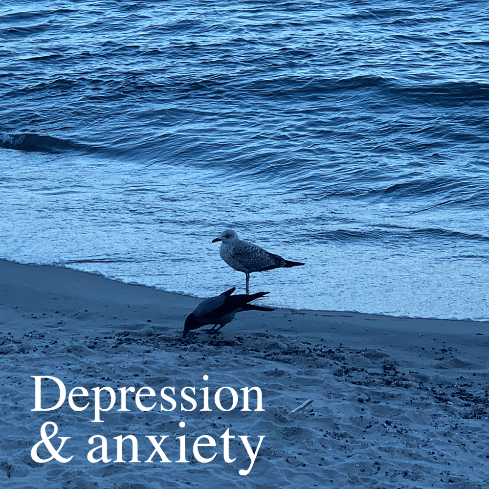 Work in progress | Skillshare Student Project