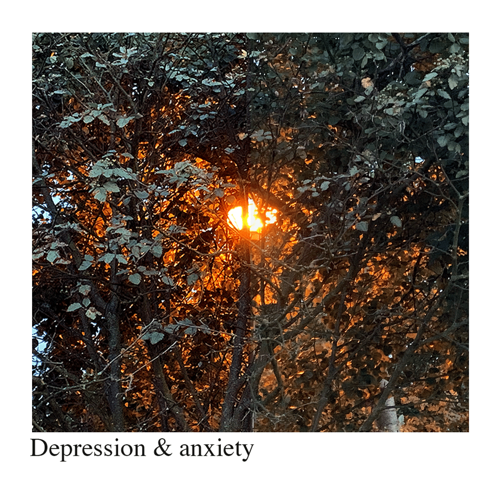 Work in progress | Skillshare Student Project