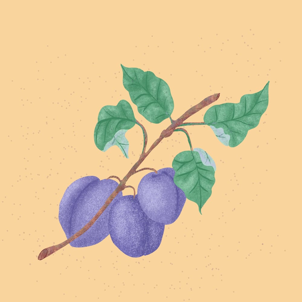 October Delight | Skillshare Student Project