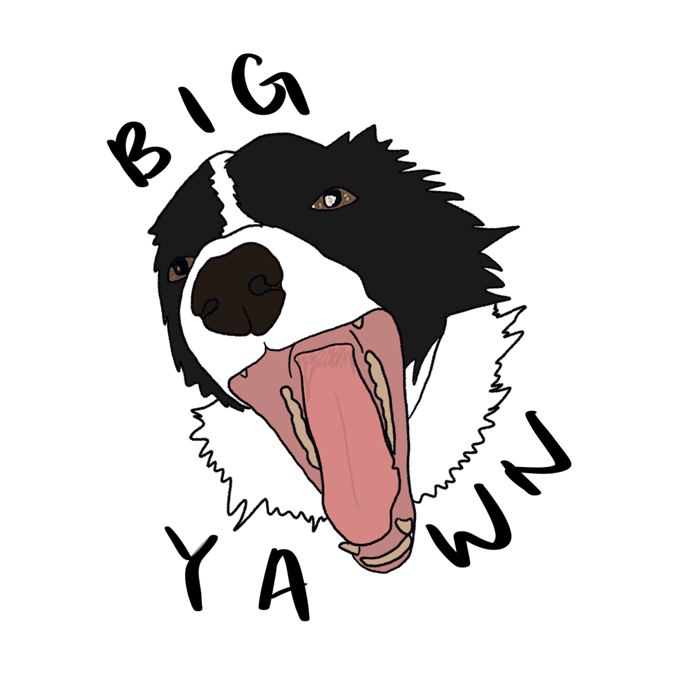 Stickers | Skillshare Student Project