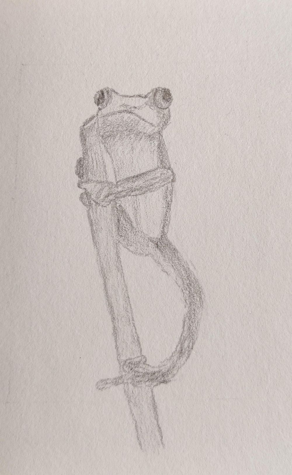 Drawing exercises | Skillshare Student Project