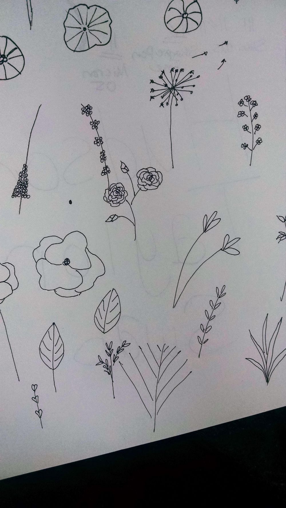 basic flower sketches | Skillshare Student Project