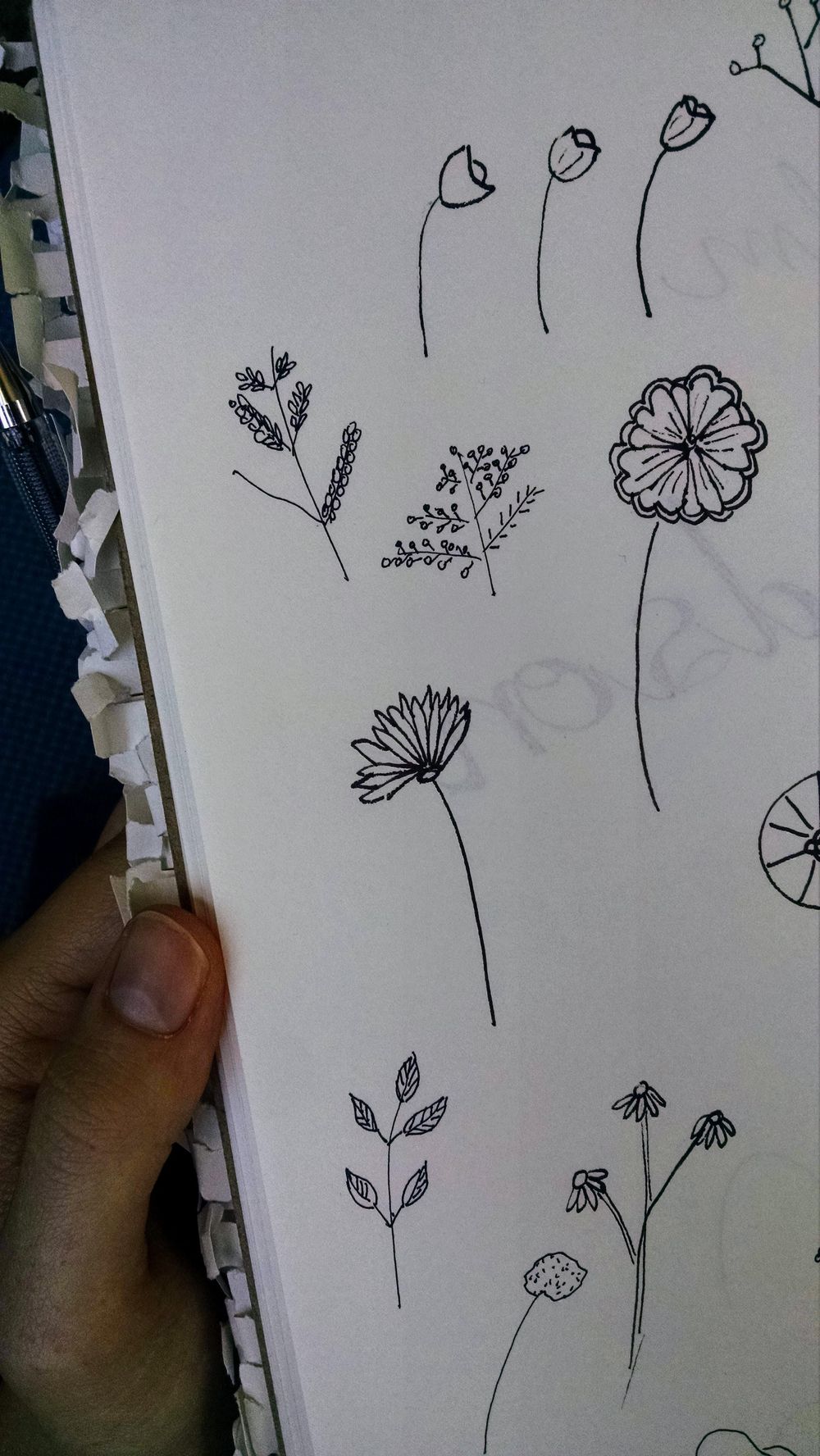 basic flower sketches | Skillshare Student Project