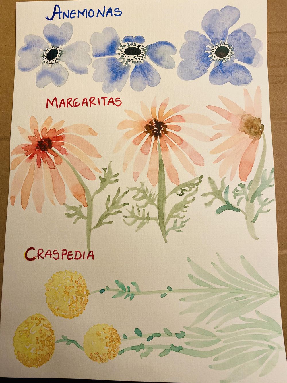 Proyecto | Skillshare Student Project