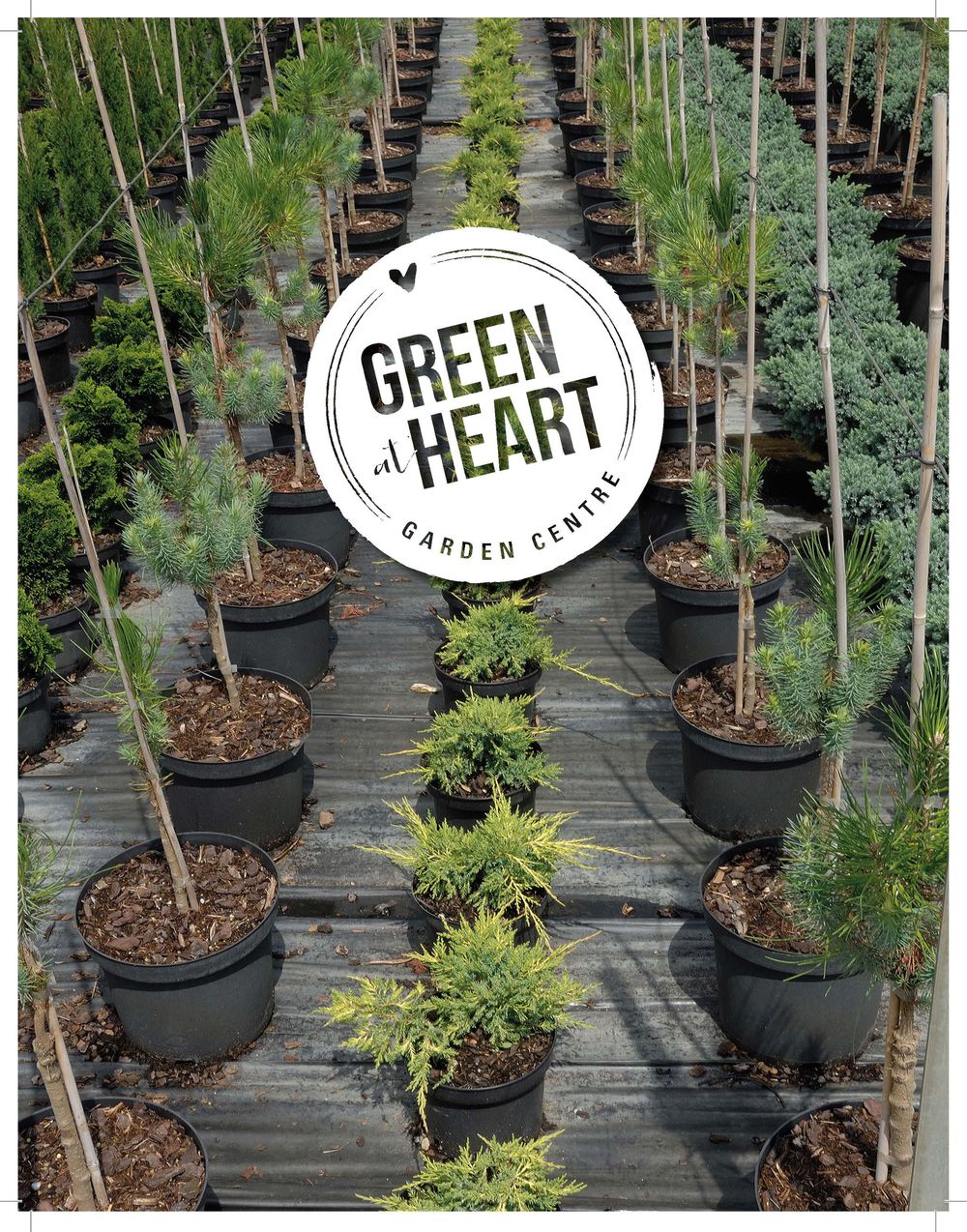 All Exercises | Skillshare Student Project