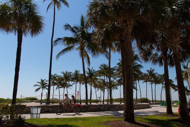 Snaps around Miami | Skillshare Student Project