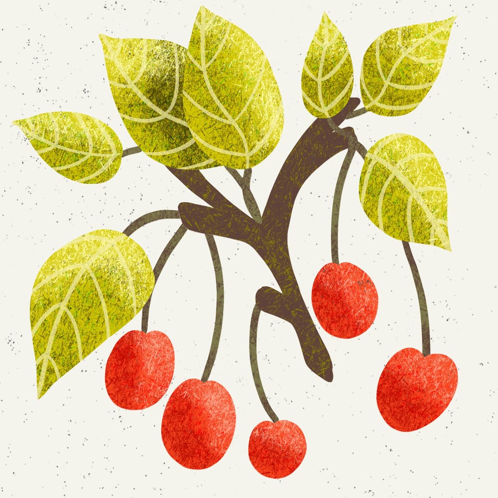 Layered Texture | Skillshare Student Project