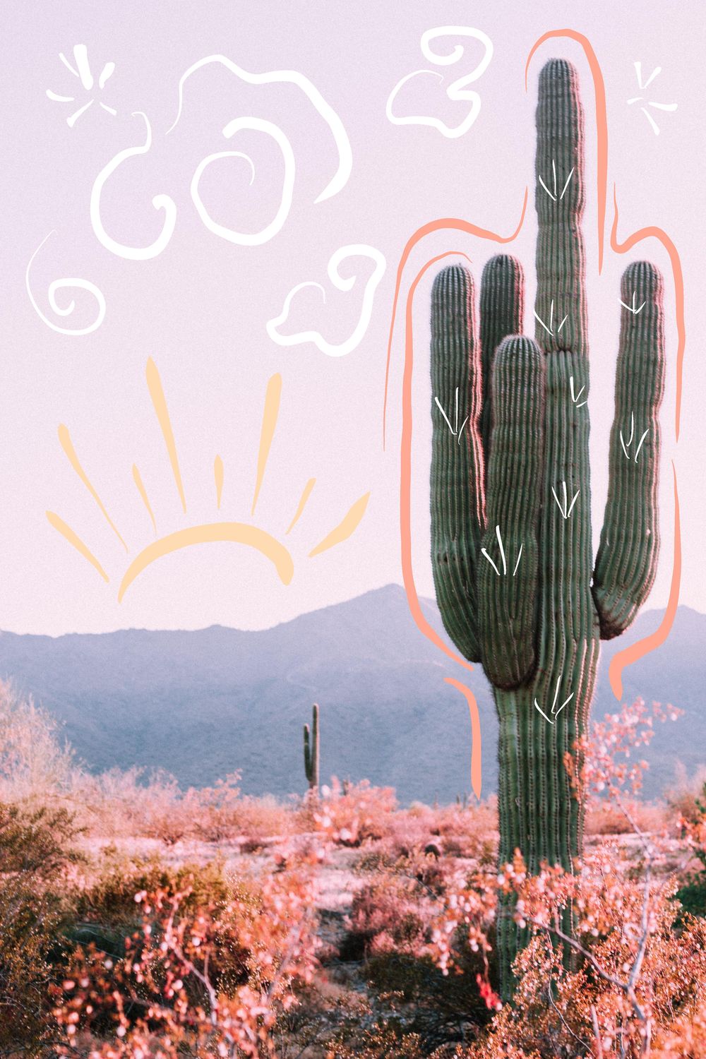 Procreate class projects | Skillshare Student Project