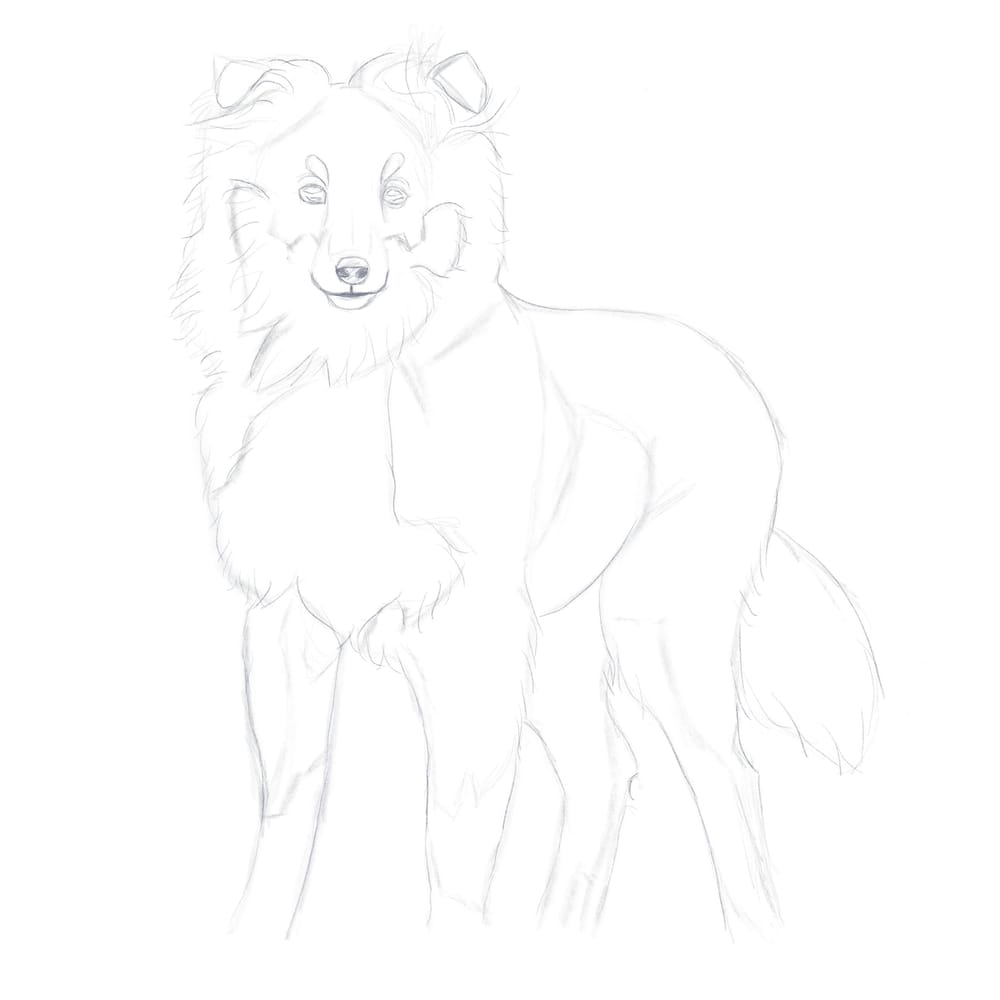 Week 4 - Learn How to Draw | Skillshare Student Project