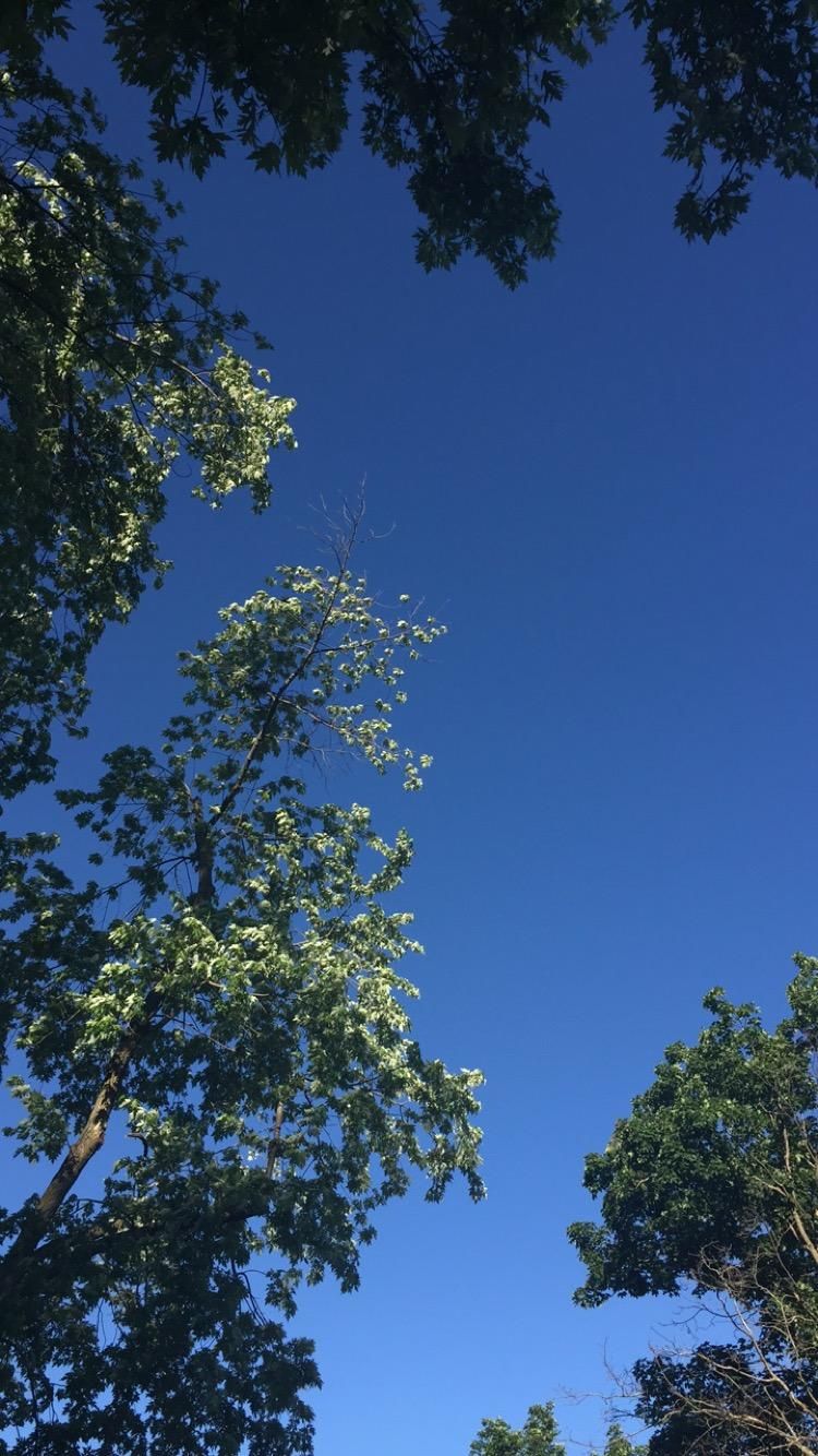 Riso Experiments | Skillshare Student Project