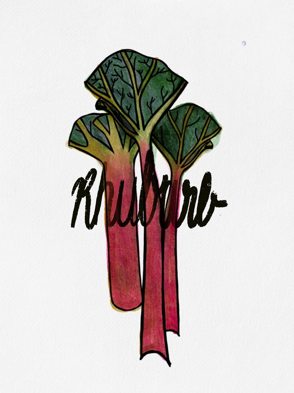 Rhubarb | Skillshare Student Project