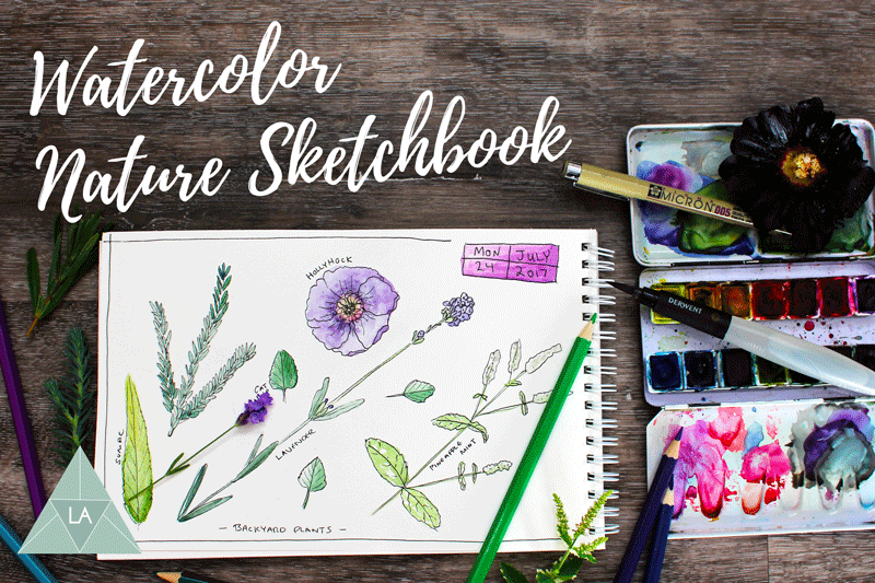 Nature Sketchbook - Backyard Garden Collection | Skillshare Student Project