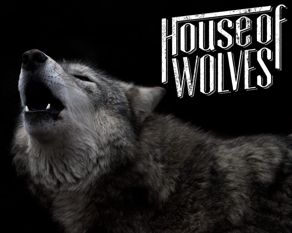 House of Wolves | Skillshare Student Project