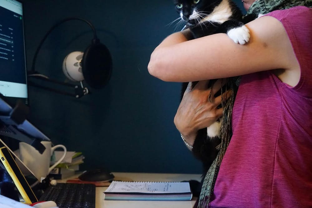 Working from Home with Cats | Skillshare Student Project