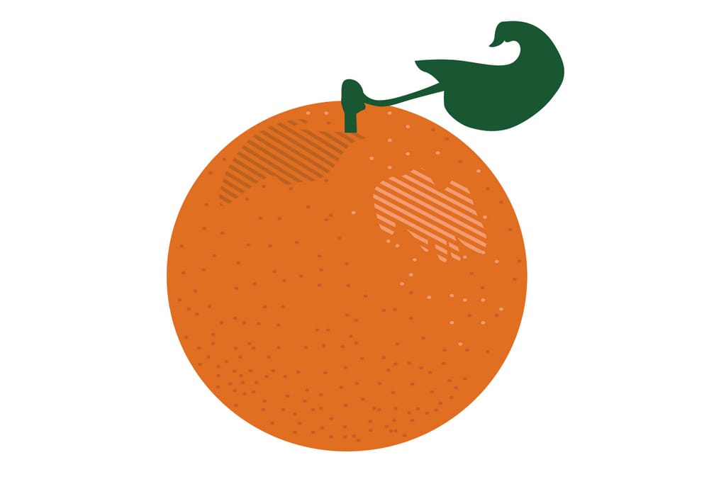 Florida Orange Pin | Skillshare Student Project