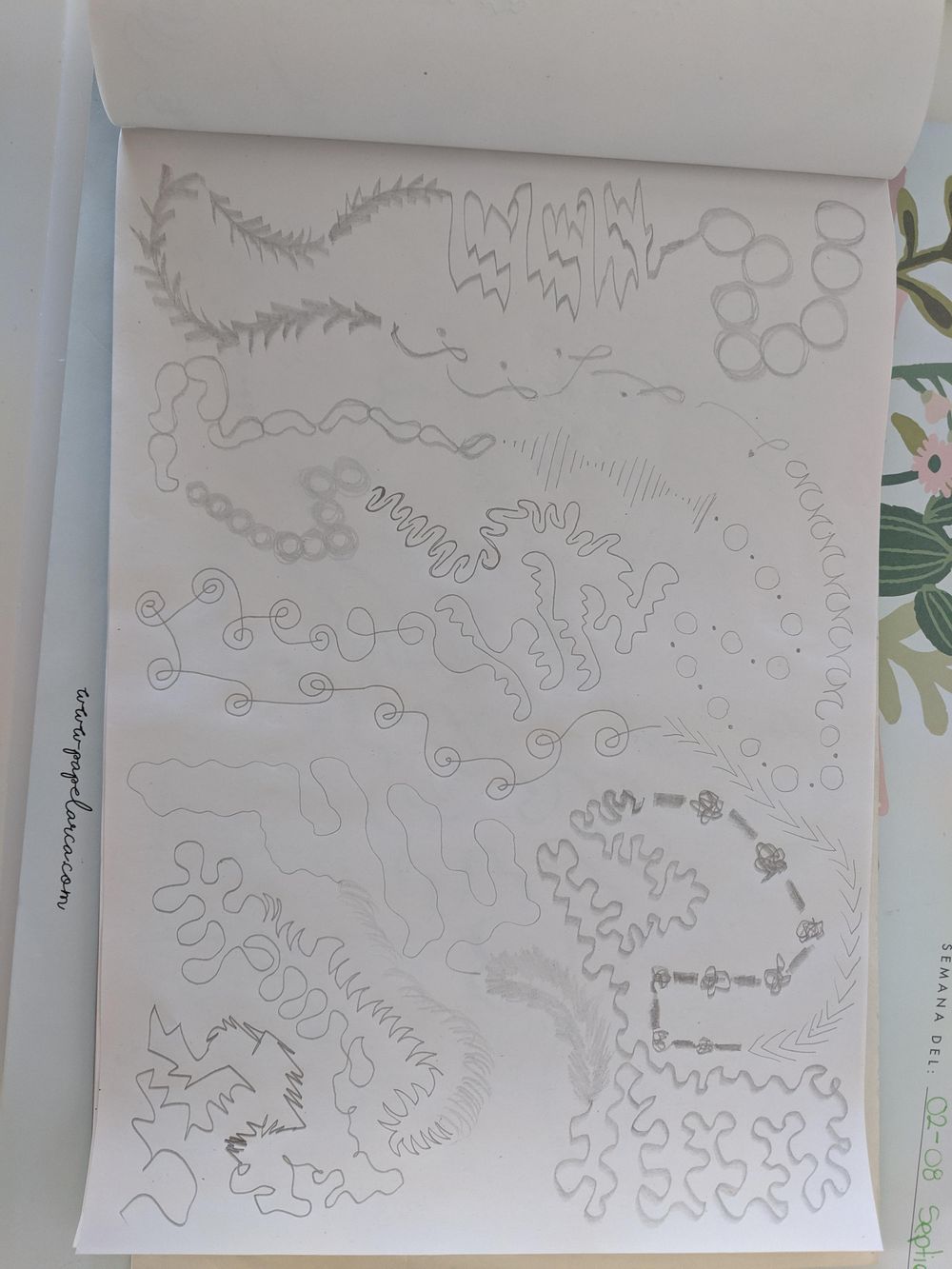 The Dividing Line | Skillshare Student Project