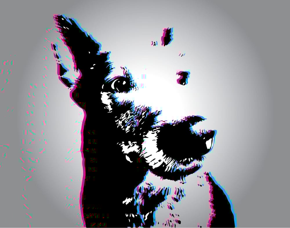 image trace | Skillshare Student Project