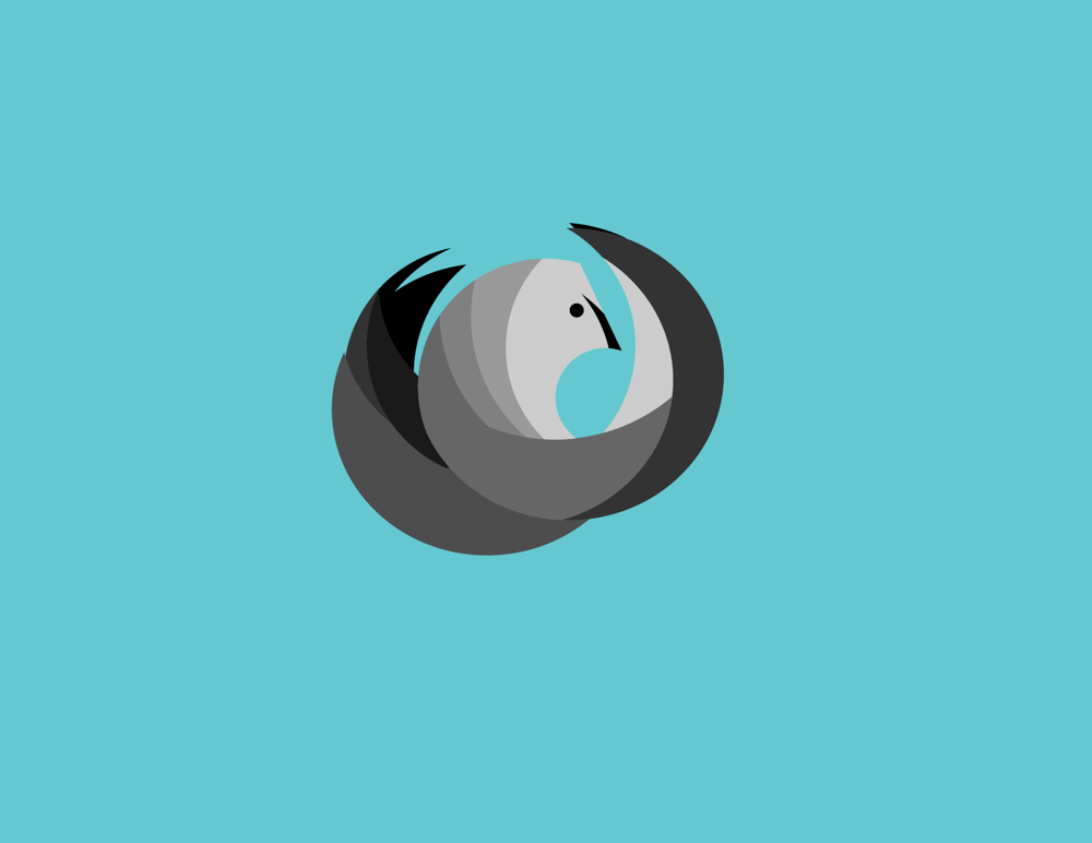 projects | Skillshare Student Project