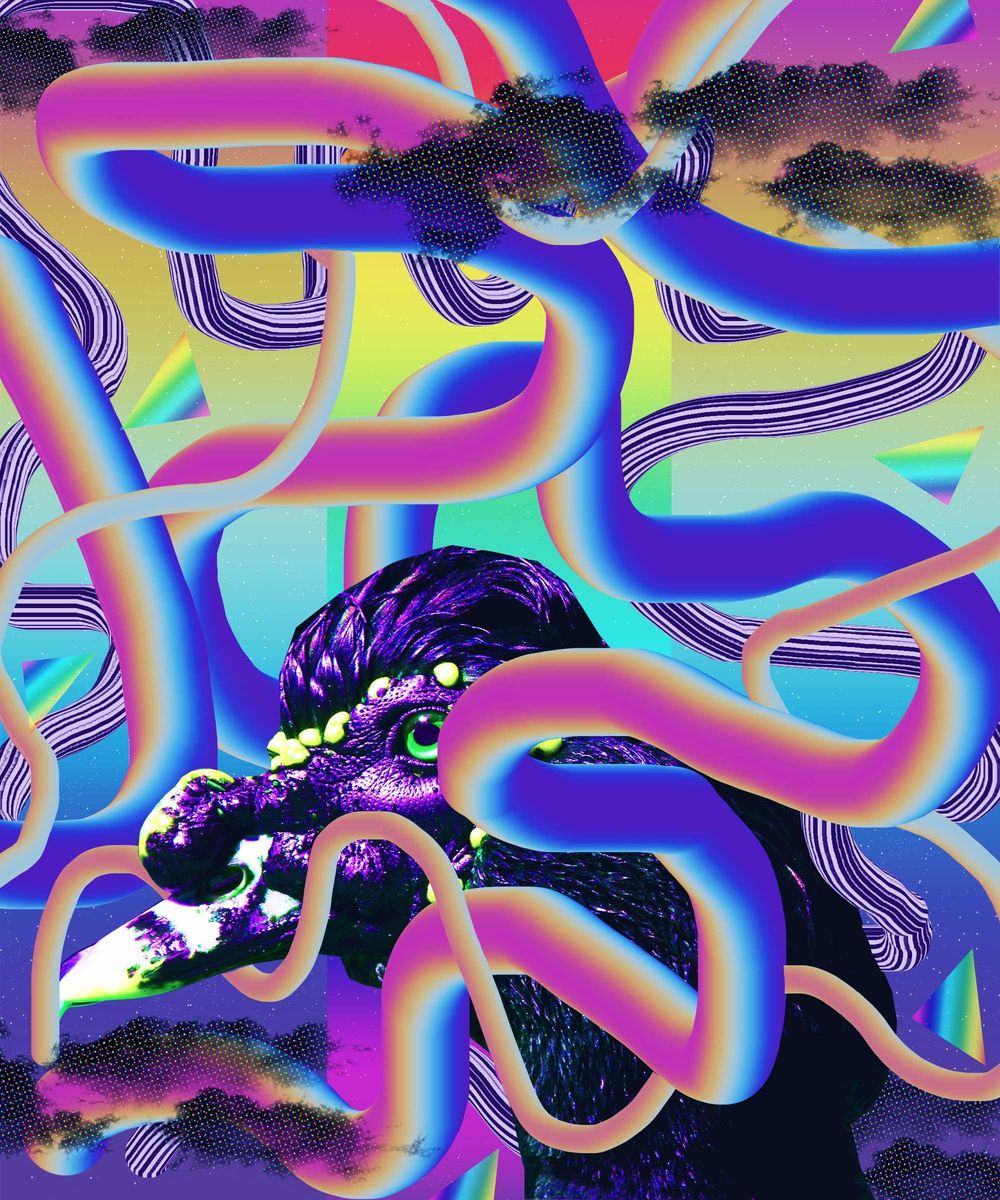 Trippy Bird | Skillshare Student Project