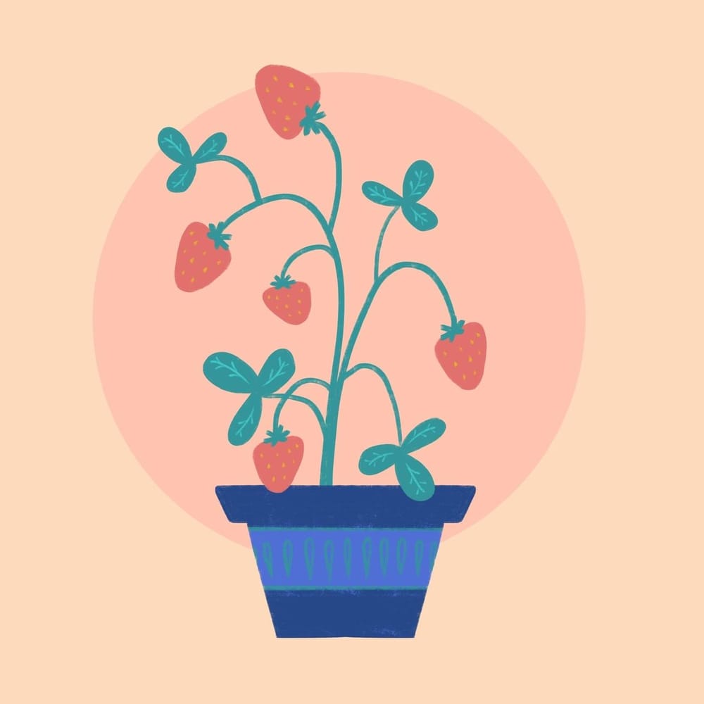 Procreate Practice | Skillshare Student Project