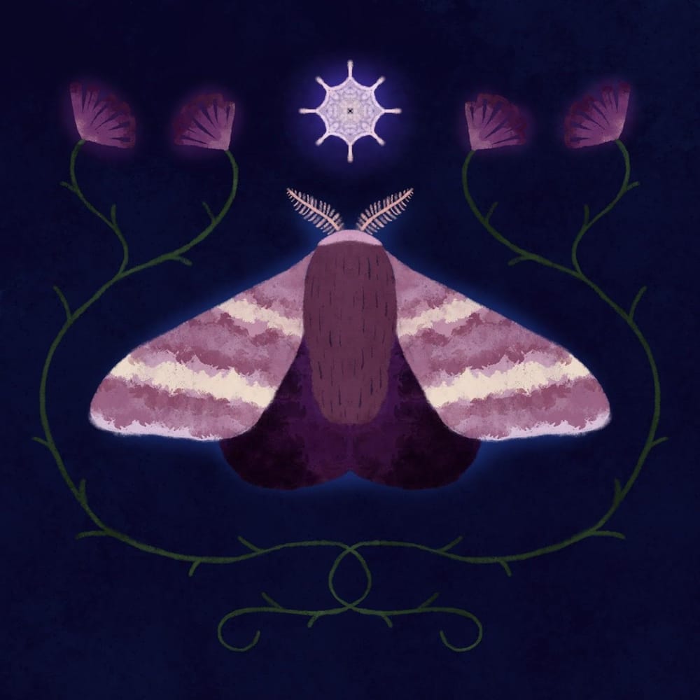 Magical Moth | Skillshare Student Project