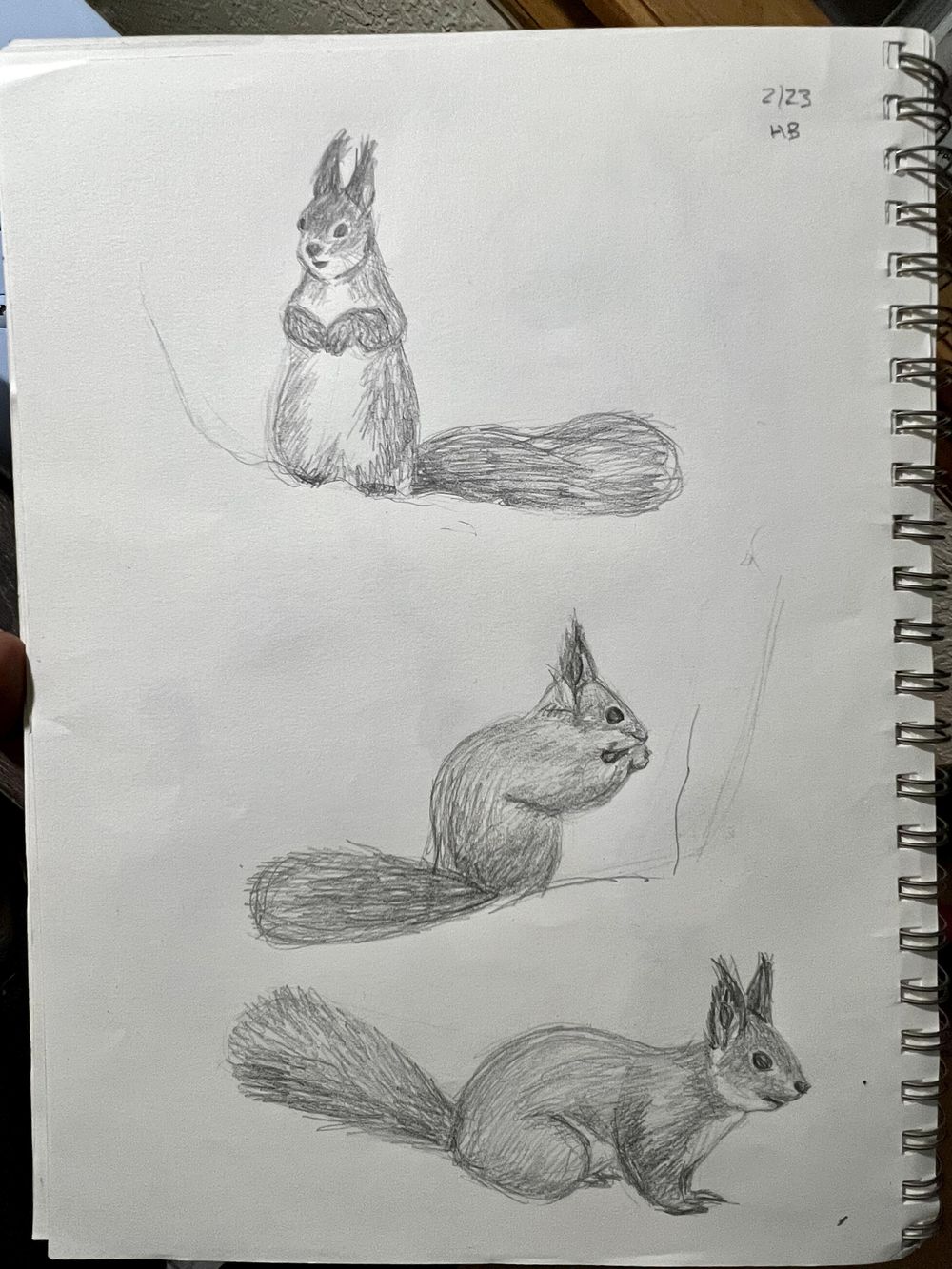 Animal Sketching | Skillshare Student Project