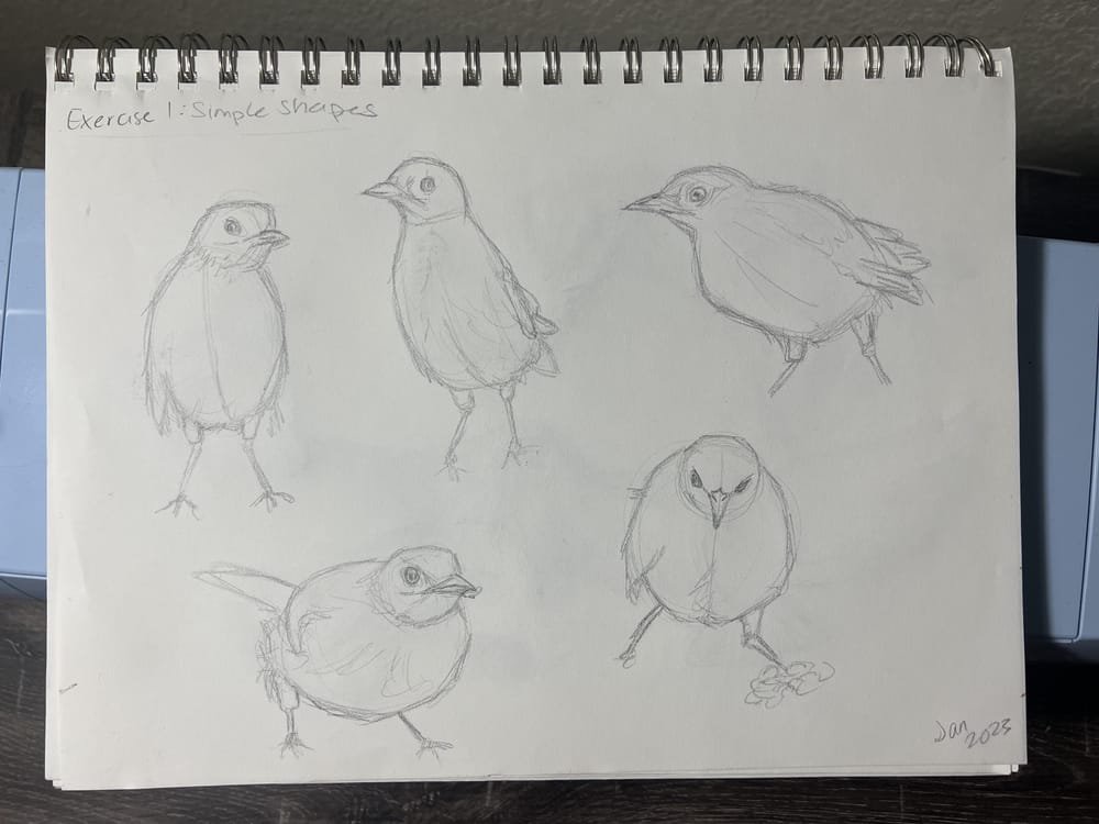 Animal Sketching | Skillshare Student Project