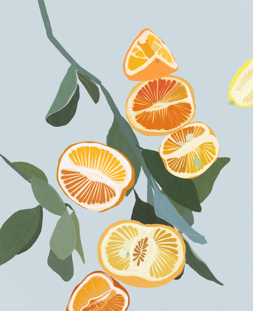 Oranges | Skillshare Student Project