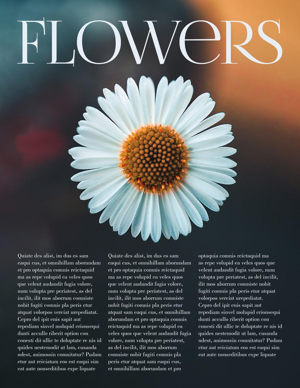 Practical Graphic Design | Skillshare Student Project