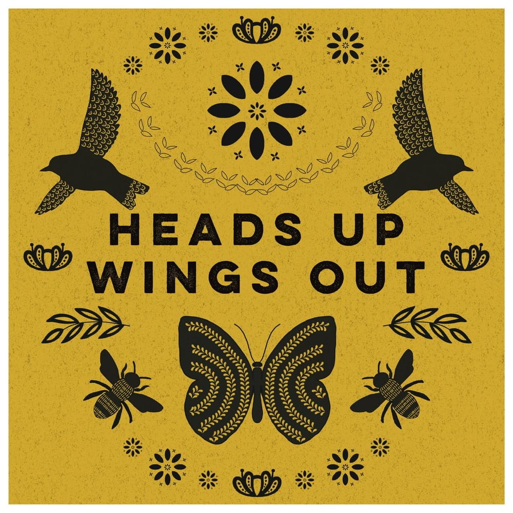 Heads up, wings out | Skillshare Student Project