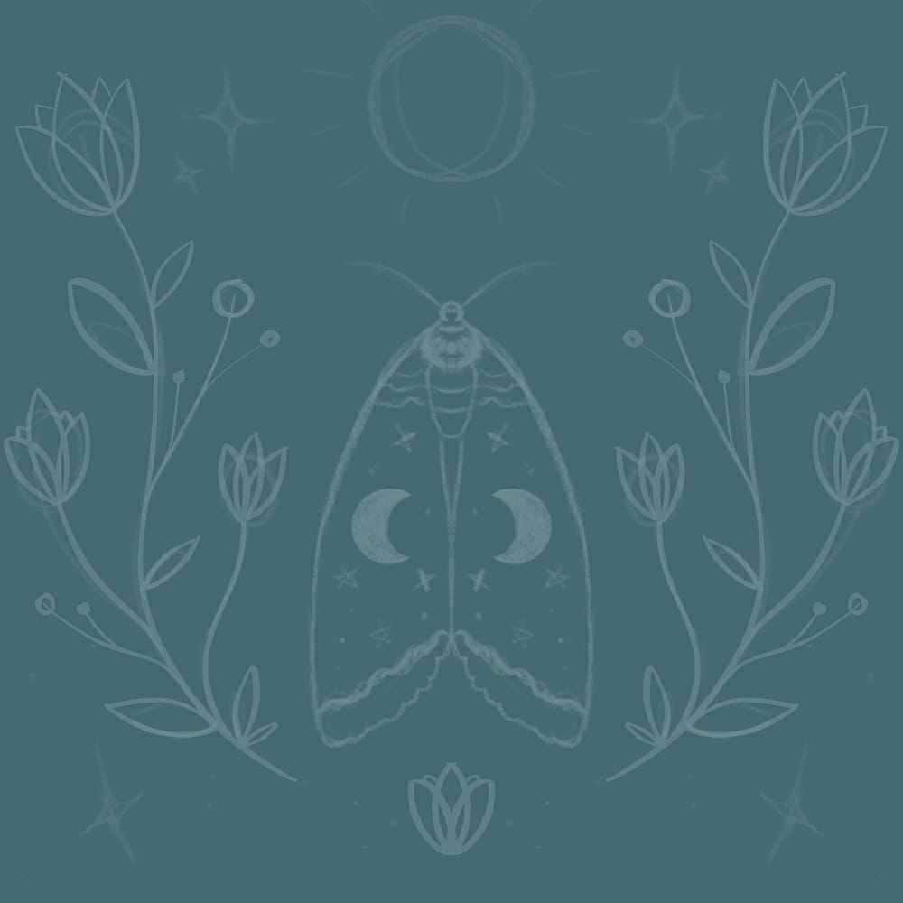 Magic Moth | Skillshare Student Project