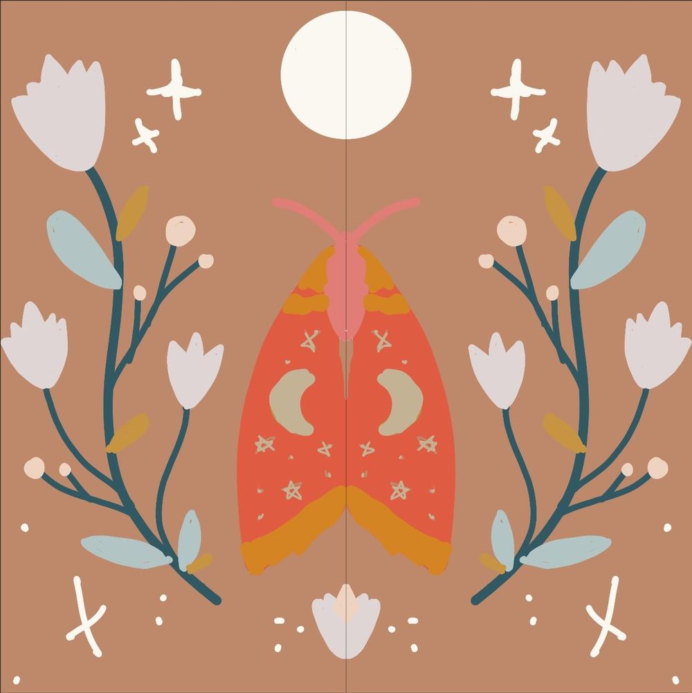 Magic Moth | Skillshare Student Project