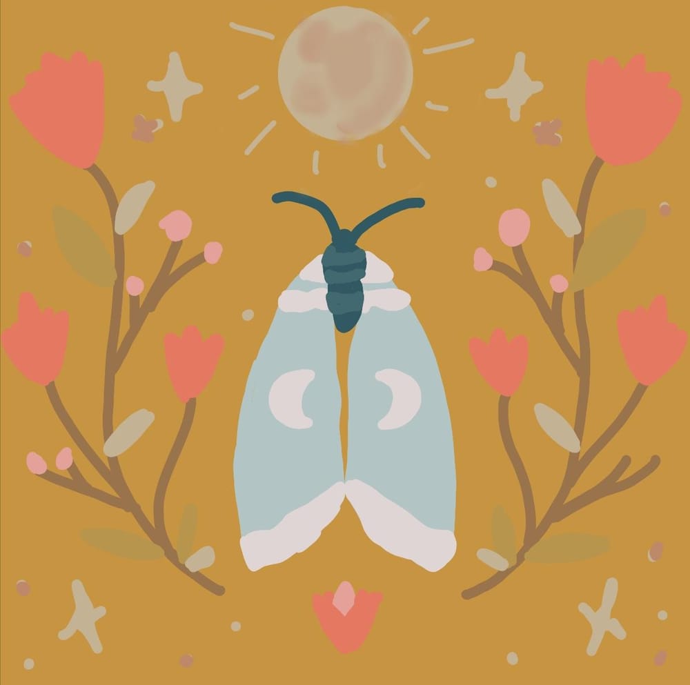 Magic Moth | Skillshare Student Project