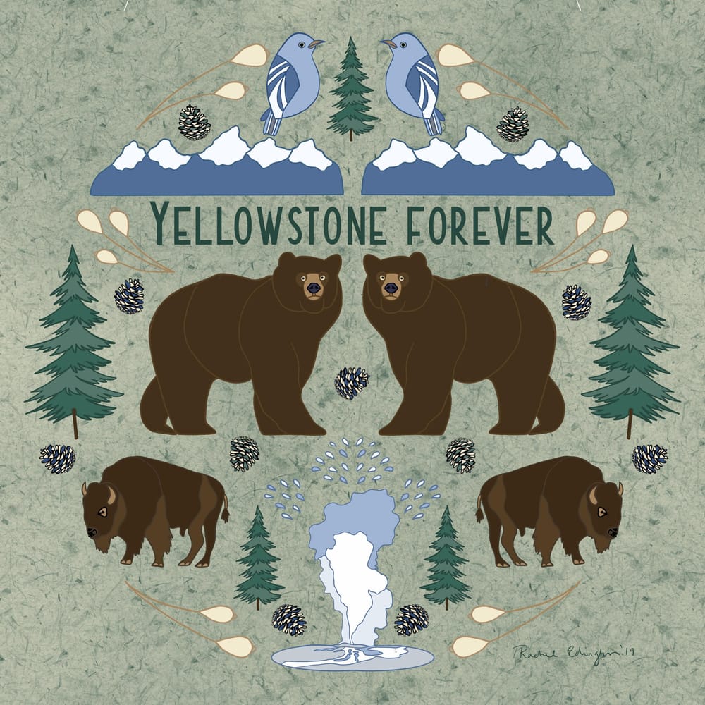 Yellowstone Forever | Skillshare Student Project