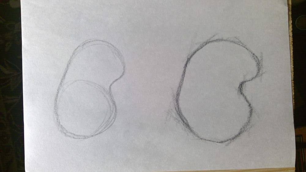 Curves and Free Form Shapes | Skillshare Student Project