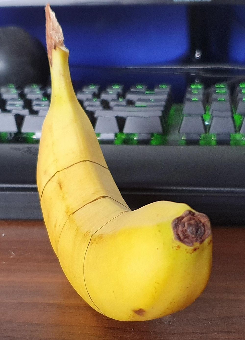 Contours / Drawing with Compelling Contours & Foreshortening ...