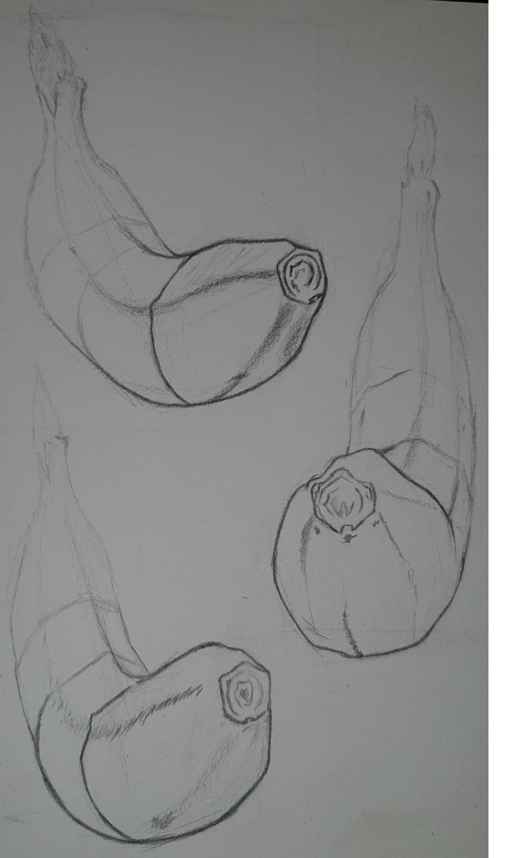Contours / Drawing with Compelling Contours & Foreshortening ...
