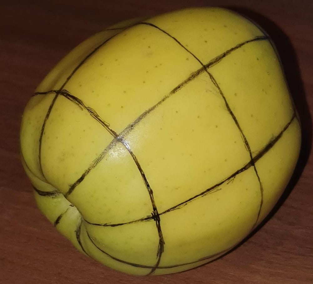 Contours / Drawing with Compelling Contours & Foreshortening ...