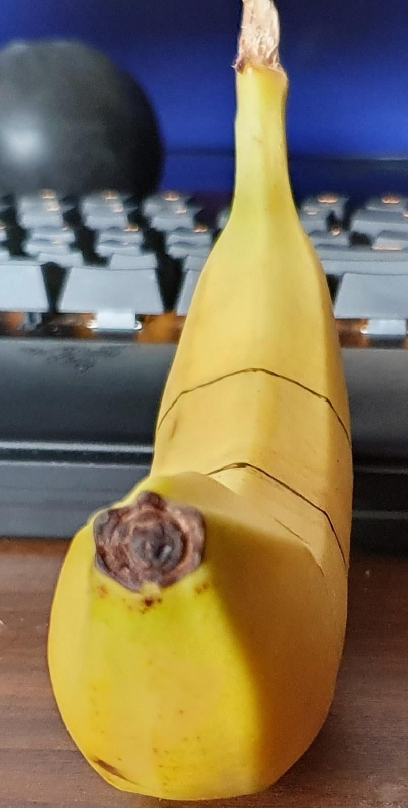 Contours / Drawing with Compelling Contours & Foreshortening ...