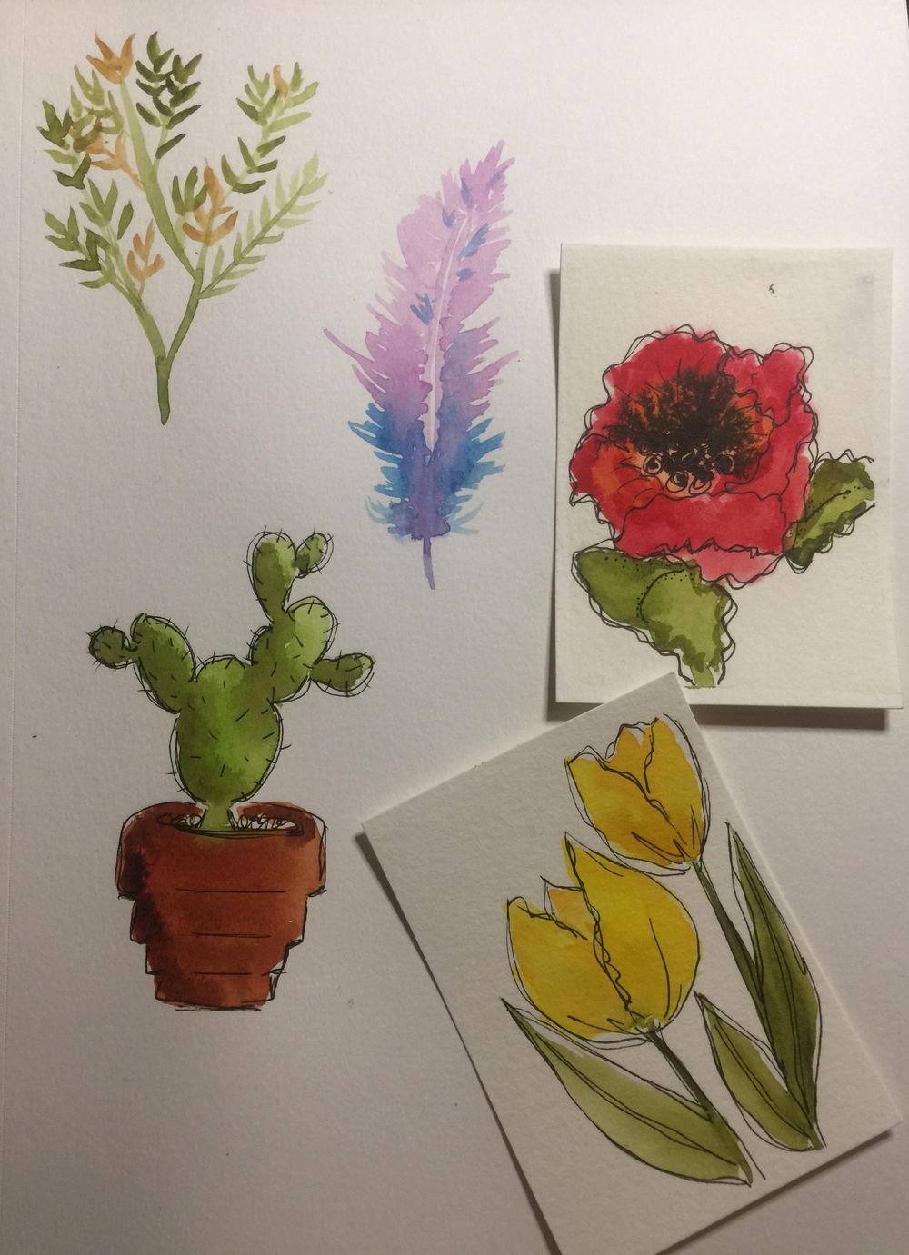 Watercolor Examples | Skillshare Student Project